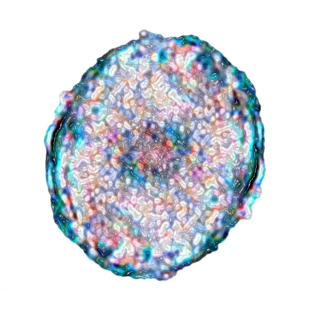 Stammzellentherapie: Alle Fakten zu Arten & Einsatzgebieten