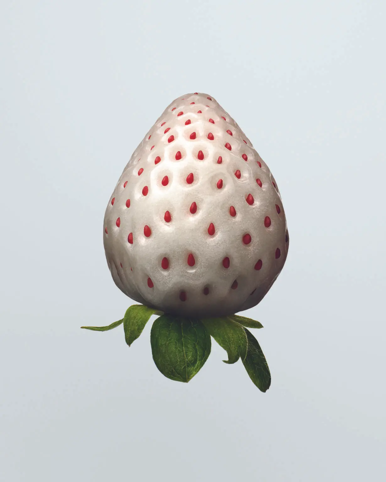 The most expensive fruits in the world? Melons from Japan
