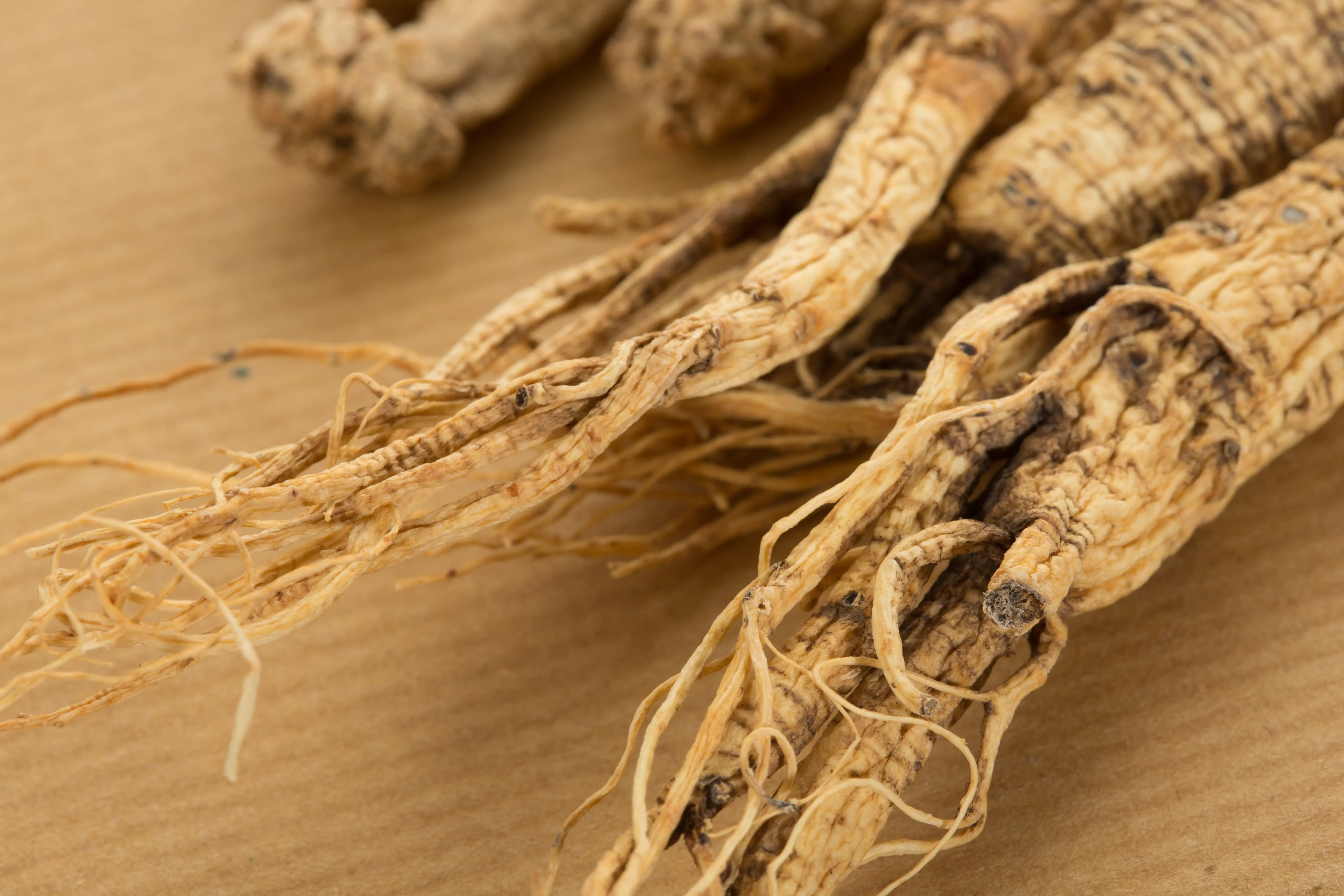 Ginseng: How it affects Psyche and Mental Health